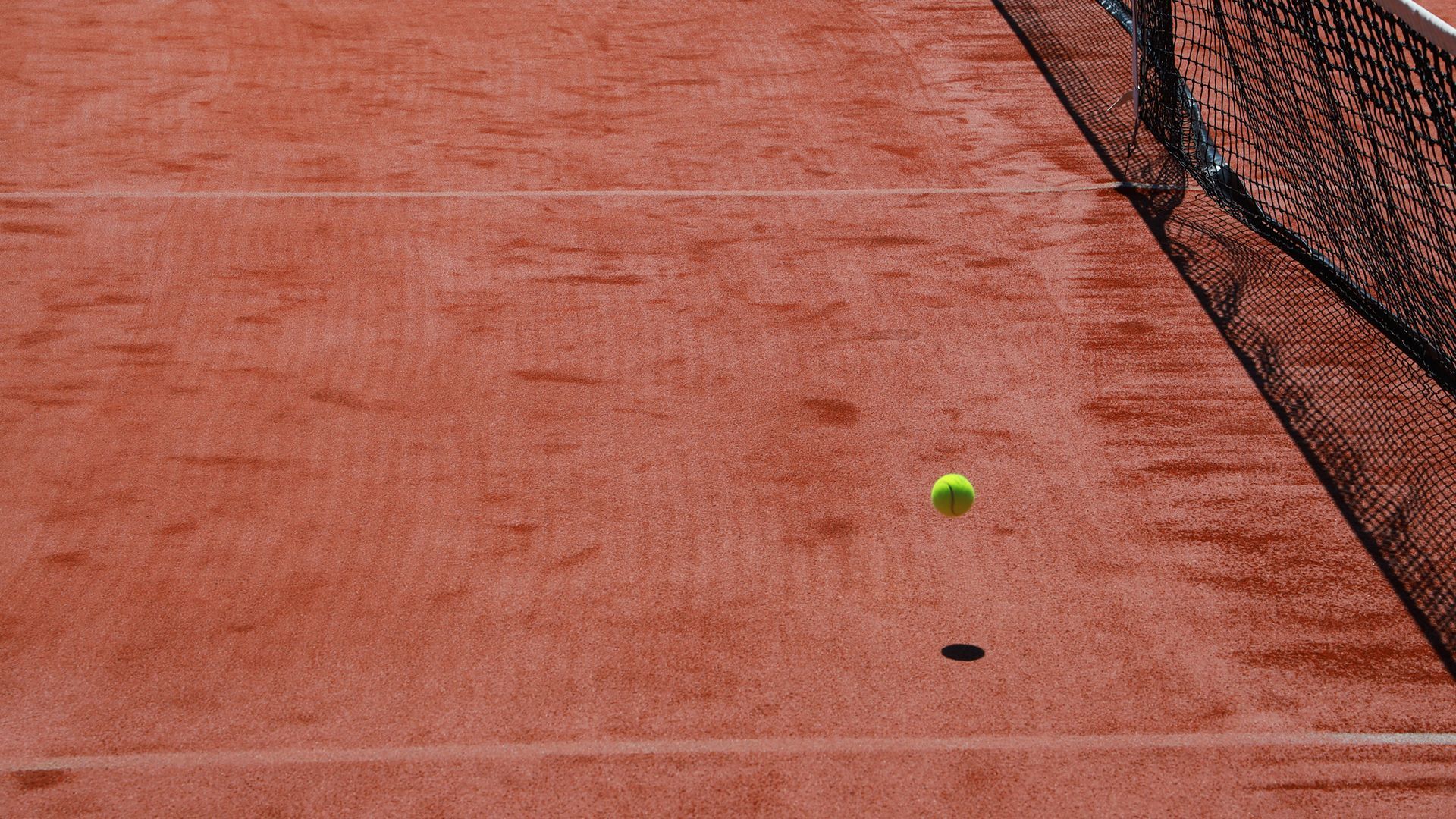 One tennis club | SEB arena