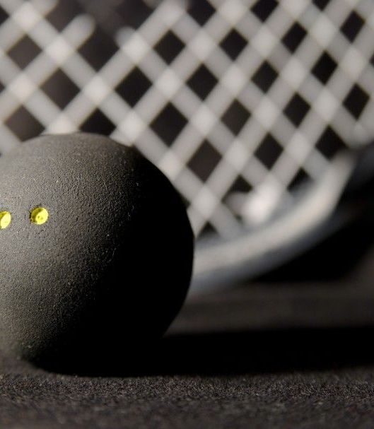 Skvošas Vilniuje | SEB arena