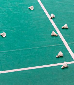 Badmintonas Vilniuje | SEB arena